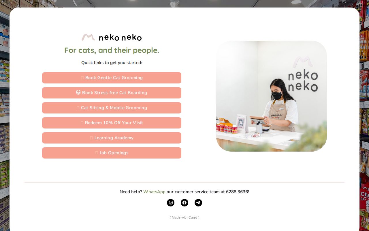 Neko Neko - Helping Cats Live 9 Happy, Healthy Lives